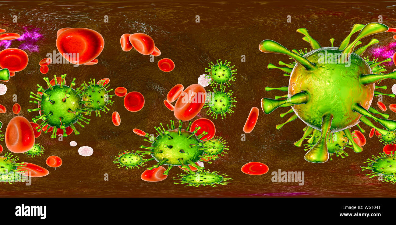 Human cytomegalovirus (HCMV) in blood, 360-degree panorama view ...