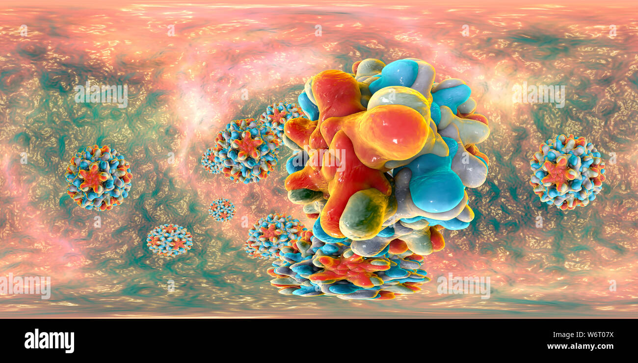 Hepatitis B viruses, 360-degree panorama view, computer illustration ...