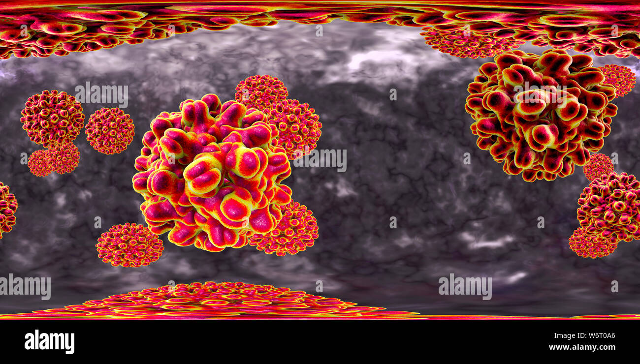 Hepatitis B viruses, 360-degree panorama view, computer illustration ...