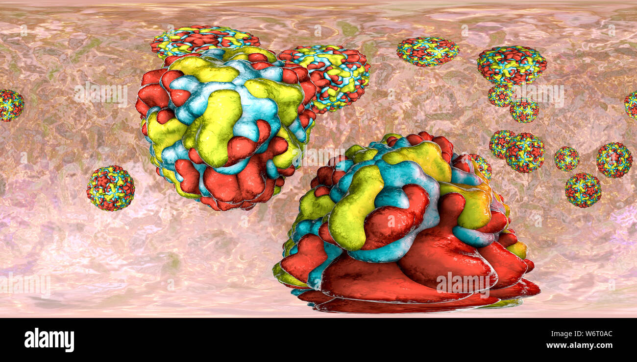 Rhinoviruses hi-res stock photography and images - Alamy