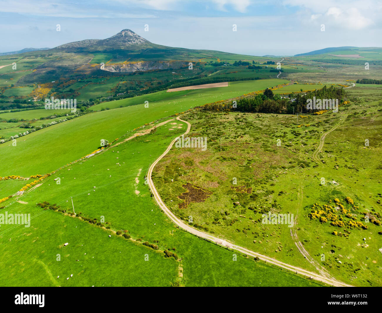 Aerial view of endless lush pastures and farmlands of Ireland ...