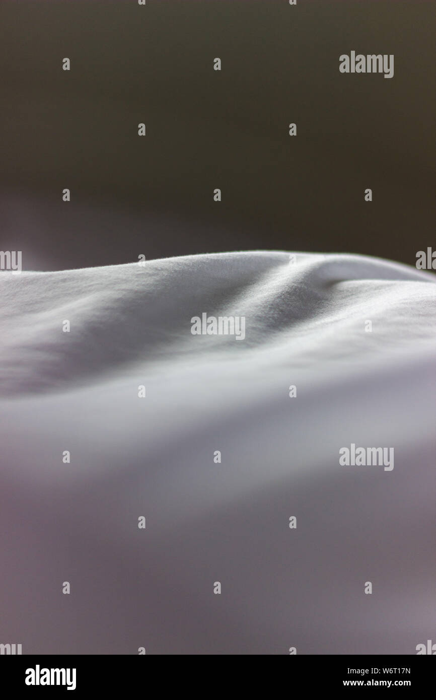 Folds in white cloth close up in shallow depth of field Stock Photo - Alamy