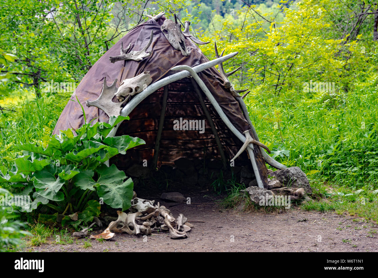 Neanderthal reconstruction hi-res stock photography and images - Alamy