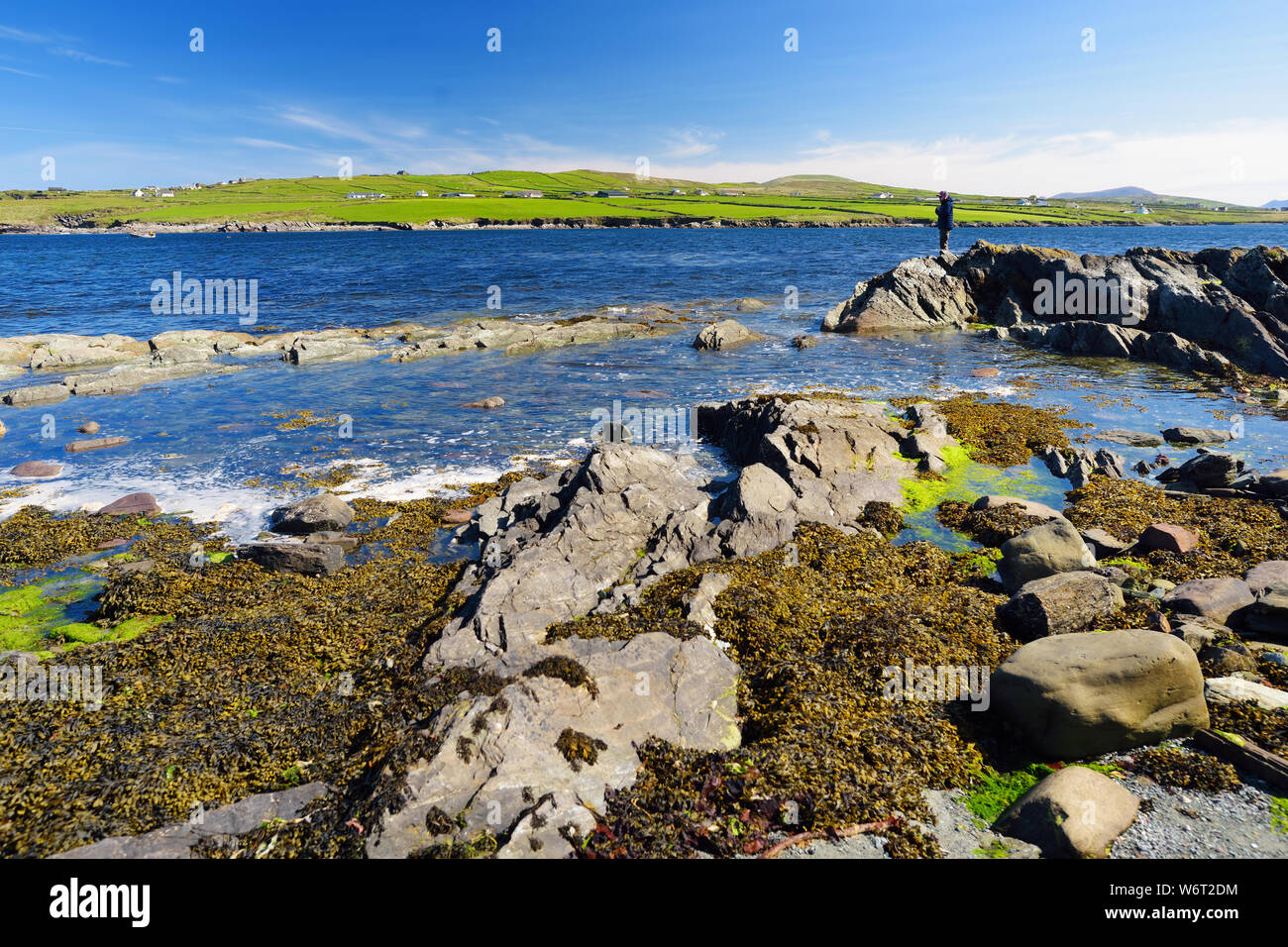 Rough and rocky shore along famous Ring of Kerry route. Rugged coast of ...