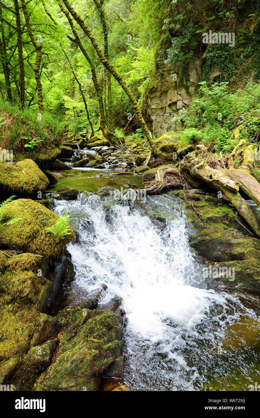 Small waterfalls near Torc Waterfall, one of most popular tourist ...