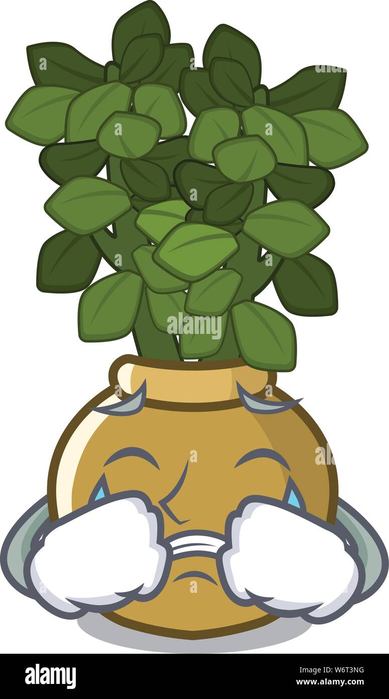 Crying jade plant in the character shape Stock Vector Image & Art - Alamy