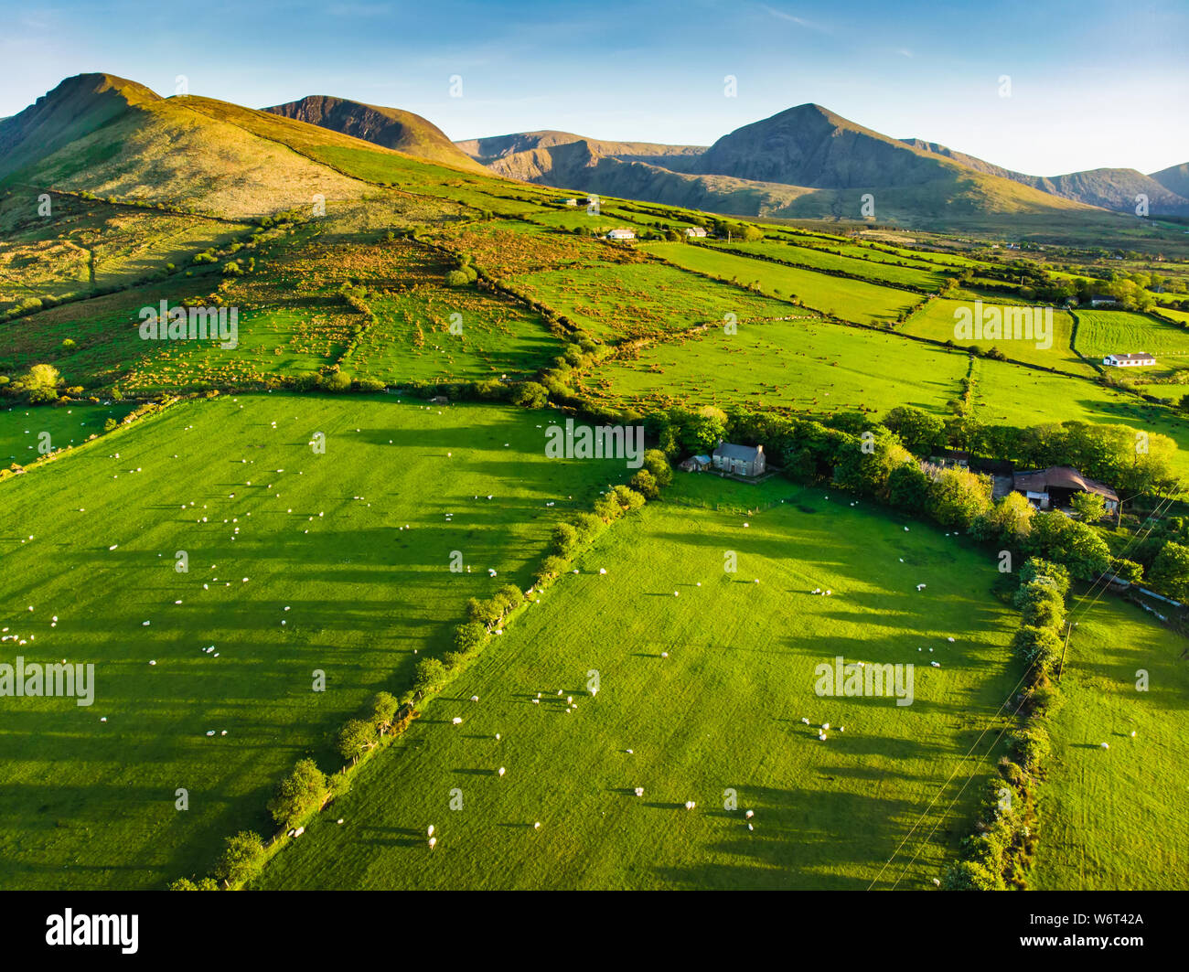 Aerial view of endless lush pastures and farmlands of Ireland ...