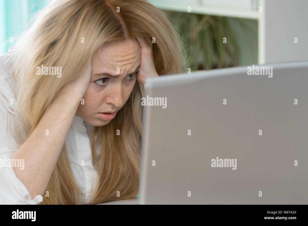 Portrait young shocked business woman sitting in front of laptop ...
