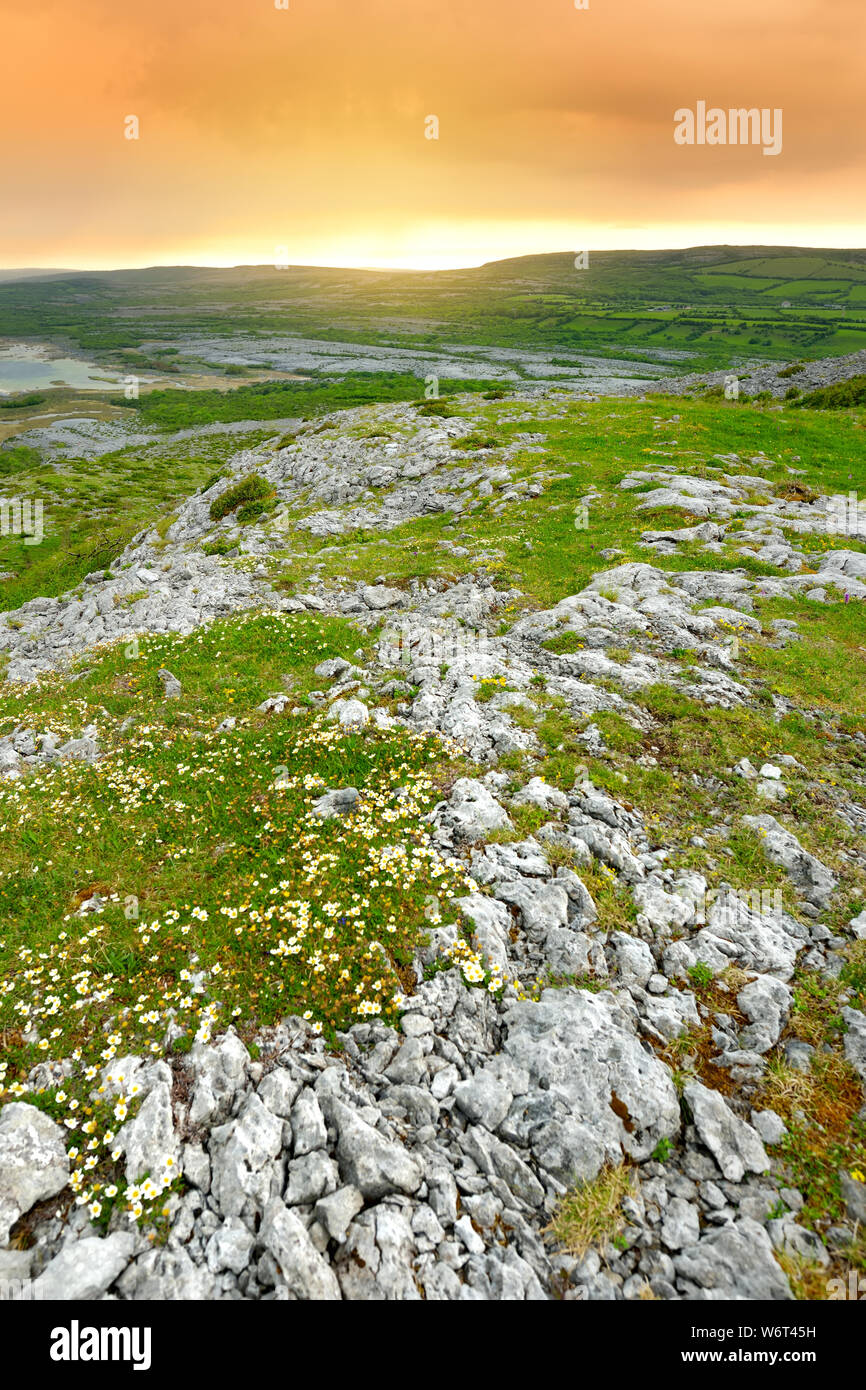 Spectacular landscape of the Burren region of County Clare, Ireland ...
