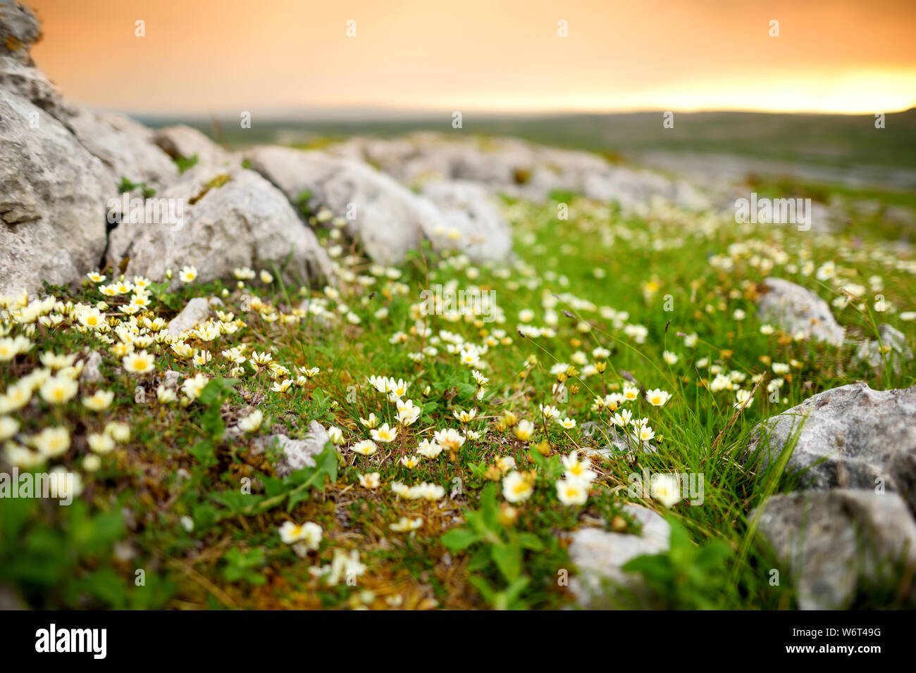 Spectacular landscape of the Burren region of County Clare, Ireland ...