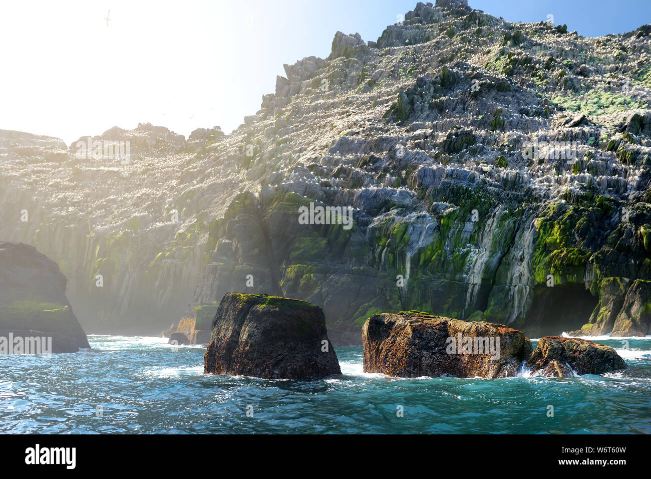 Little Skellig Island, home to many various seabirds and the second ...