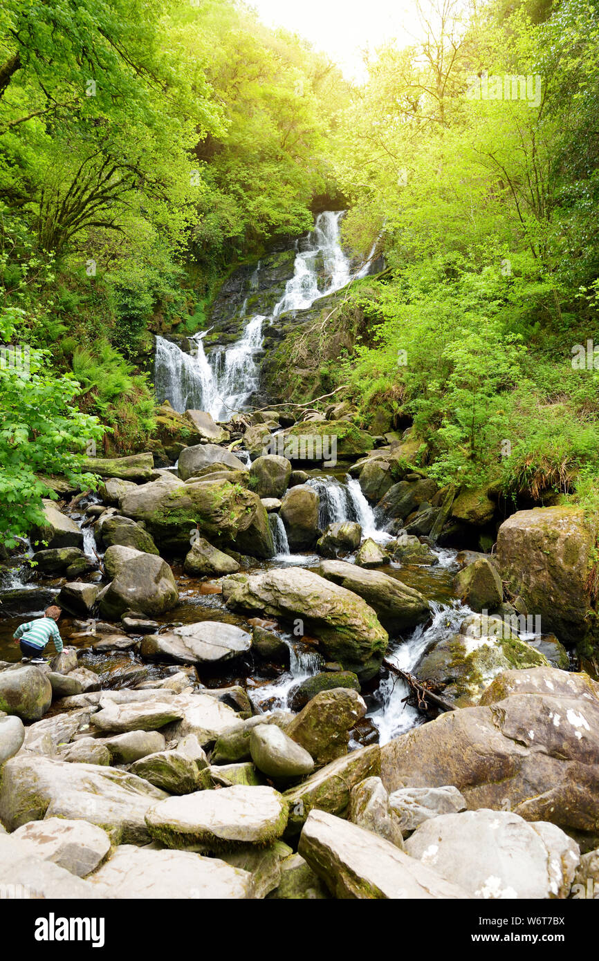 Torc Waterfall, one of most well known tourist attractions in Ireland ...
