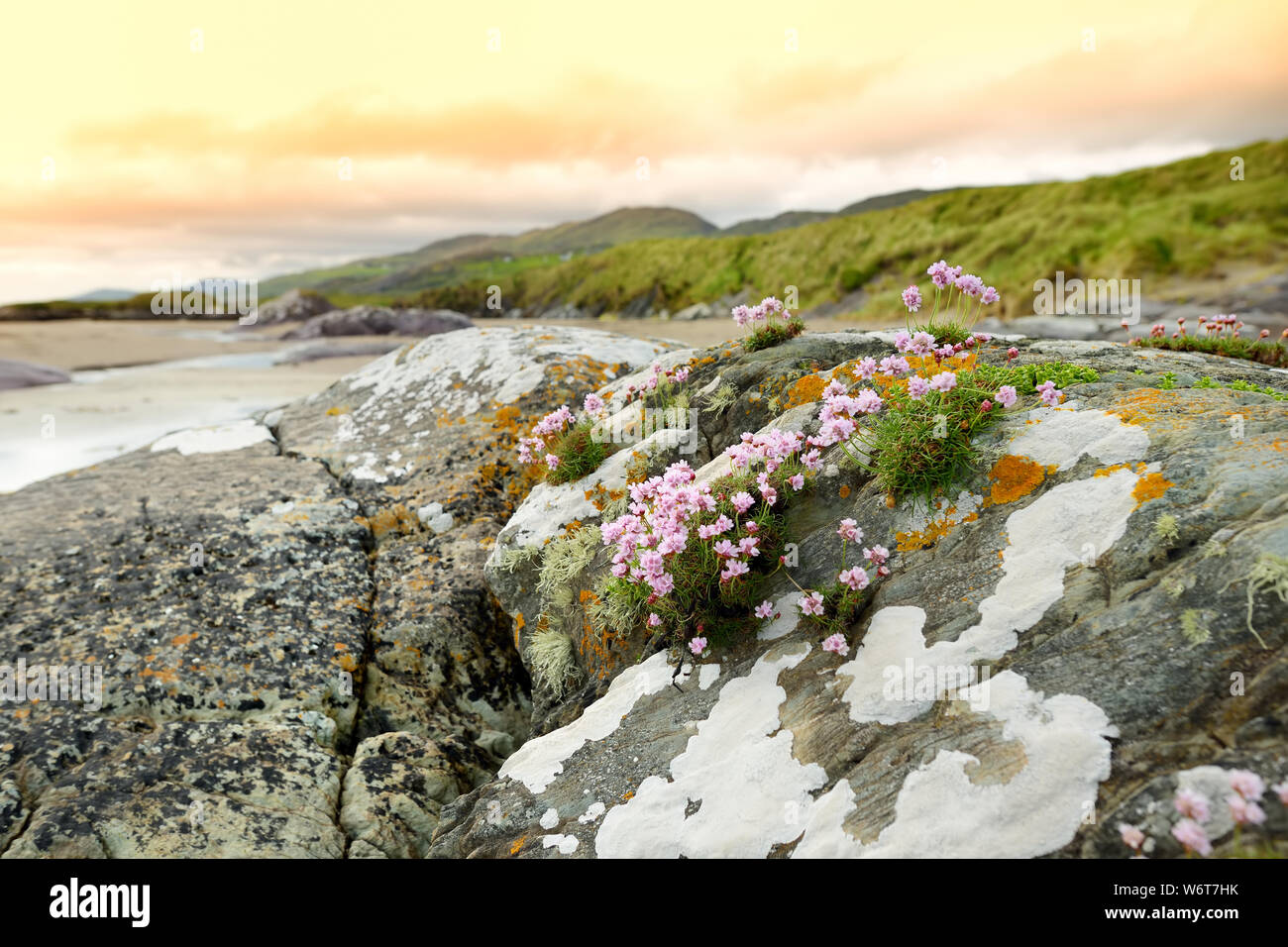 Abbey island ruins derrynane hi-res stock photography and images - Alamy