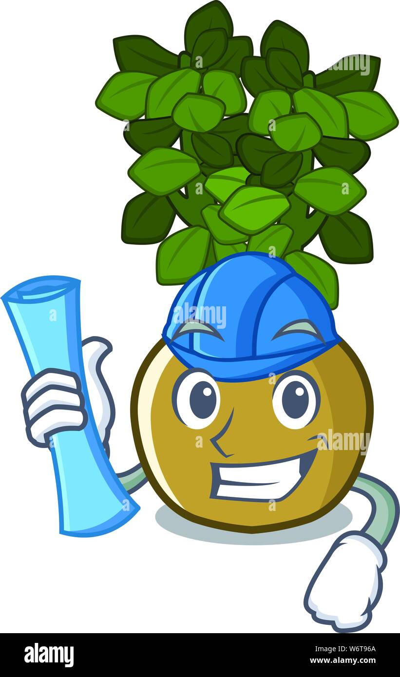 Architect jade plant pot in cartoon yard Stock Vector Image & Art - Alamy