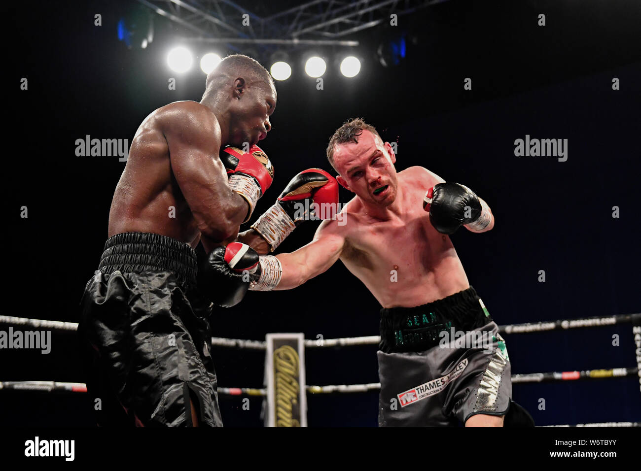 Anthony fowler boxer hi-res stock photography and images - Alamy
