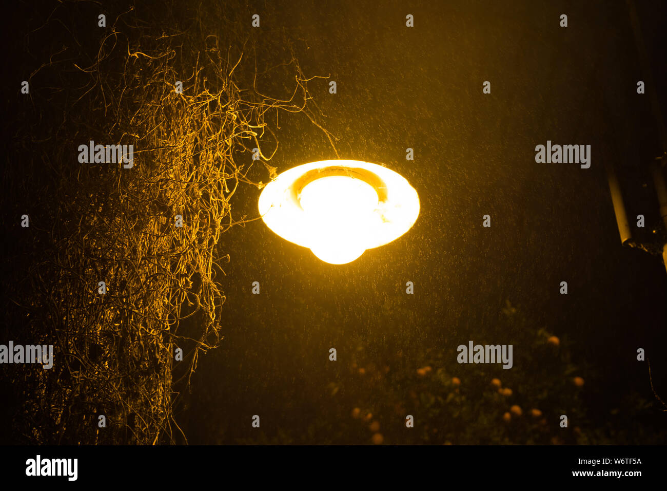 Drizzle city night hi-res stock photography and images - Alamy