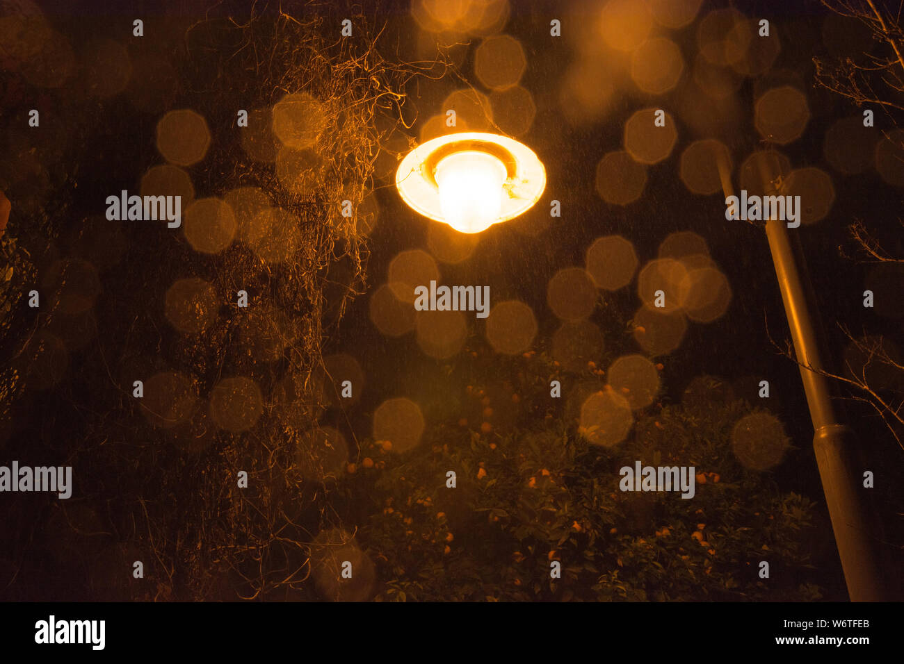 Drizzle city night hi-res stock photography and images - Alamy