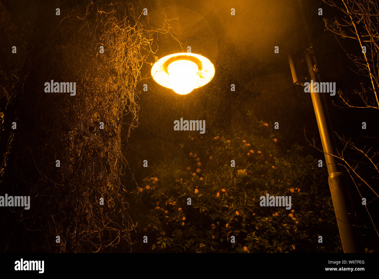 Drizzle city night hi-res stock photography and images - Alamy