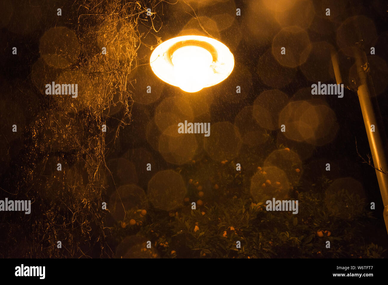 Street light under light drizzle at night Stock Photo - Alamy