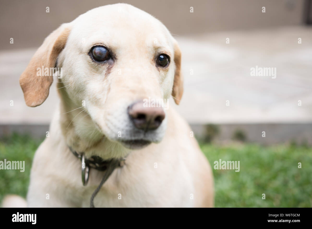 One eye blind hi-res stock photography and images - Alamy