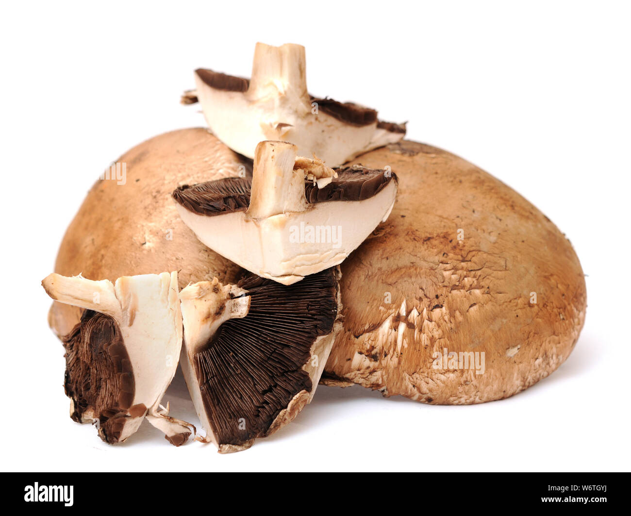 chopped and whole portabella mushroom on white Stock Photo - Alamy