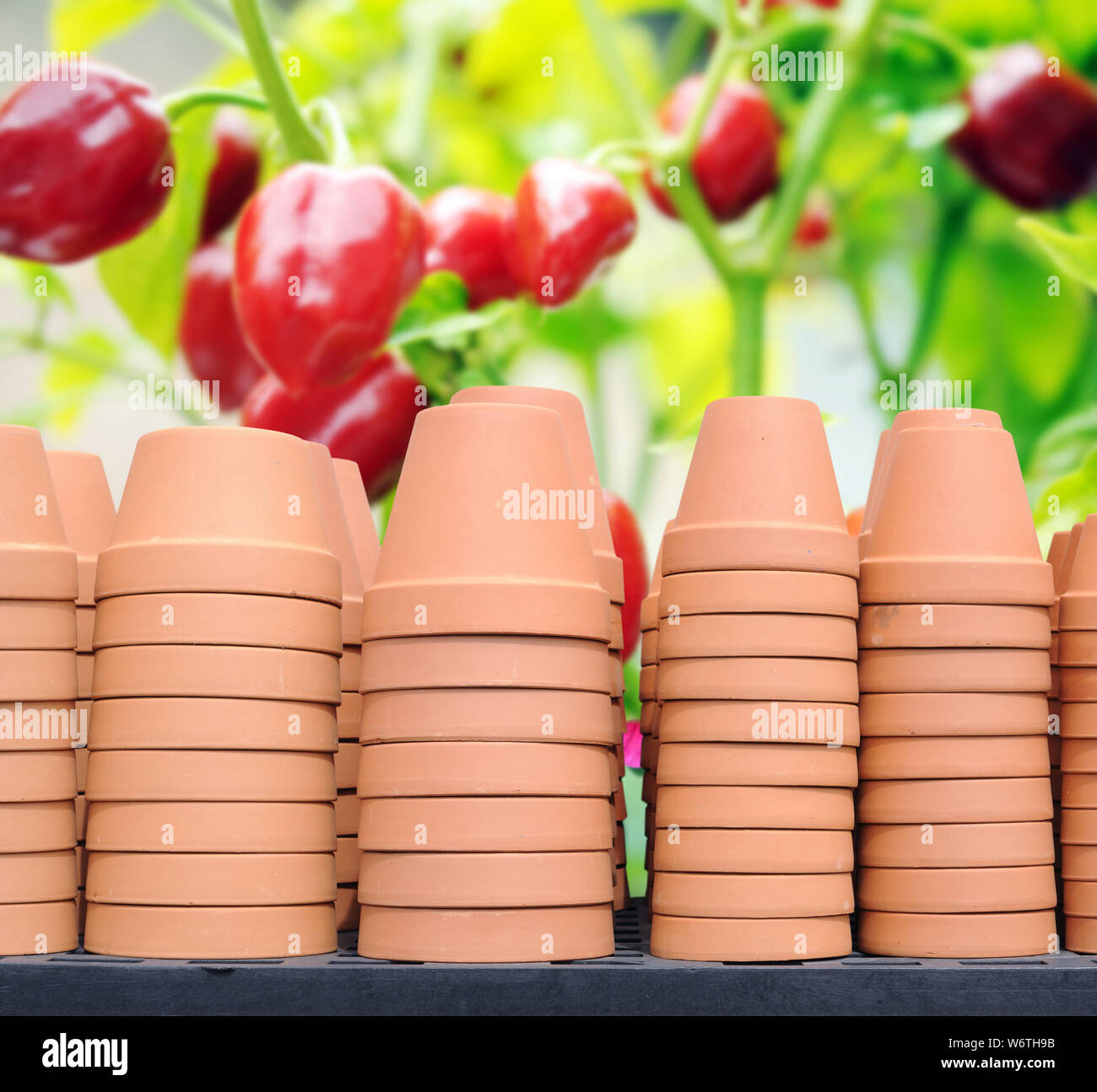 stack of vase ready for Spring garden planting Stock Photo - Alamy