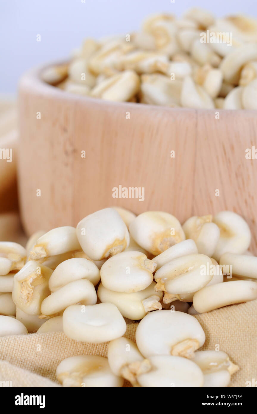 Giant white corn on wooden bowl Stock Photo - Alamy