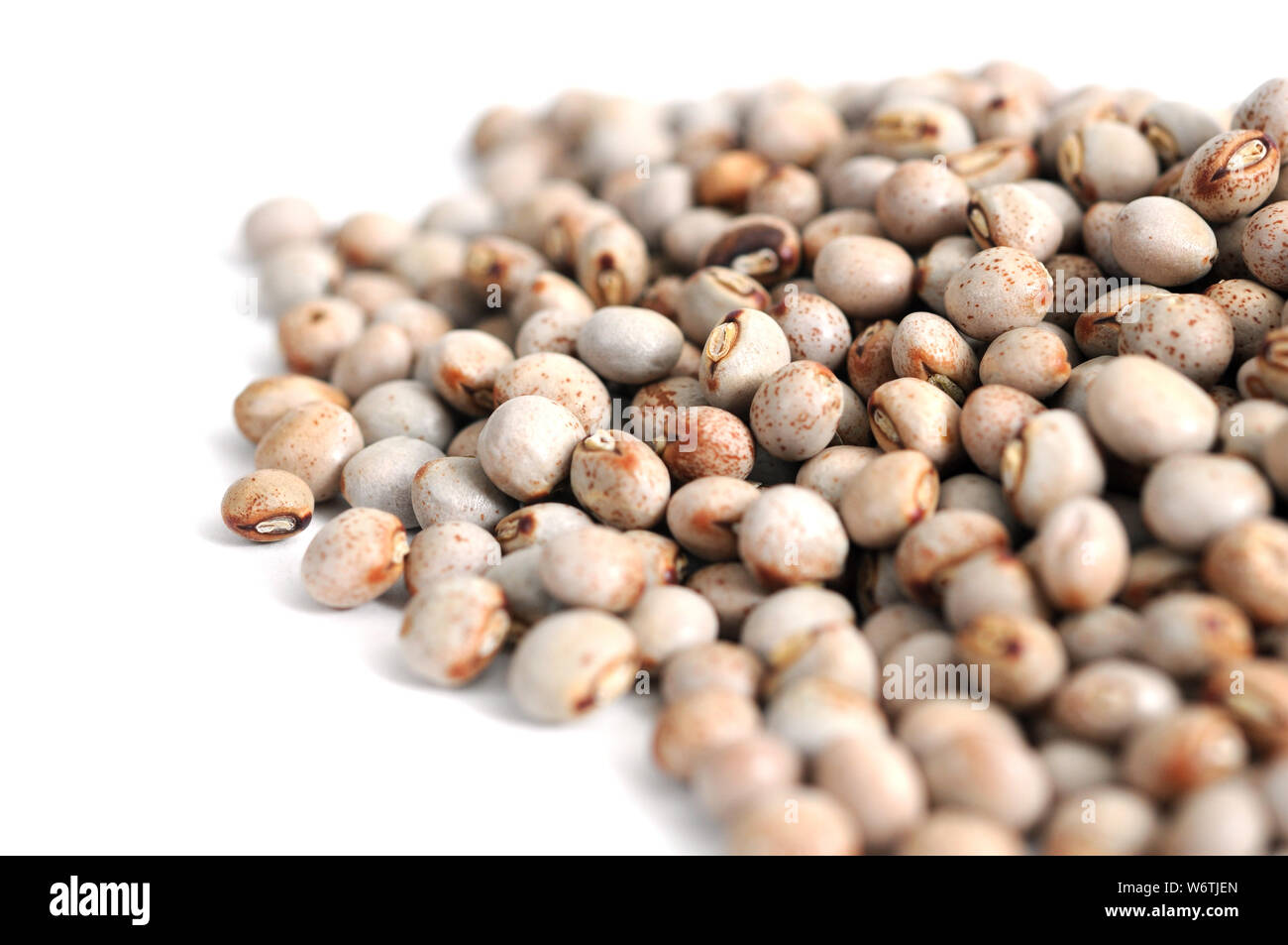 closeup of pigeon pea on white background Stock Photo - Alamy