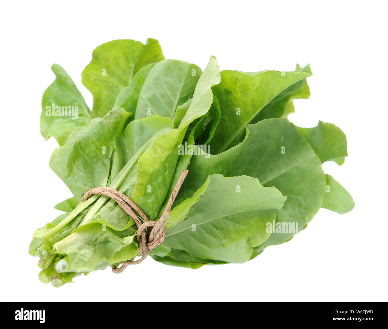 a bunch of lettuce isolated on white Stock Photo - Alamy