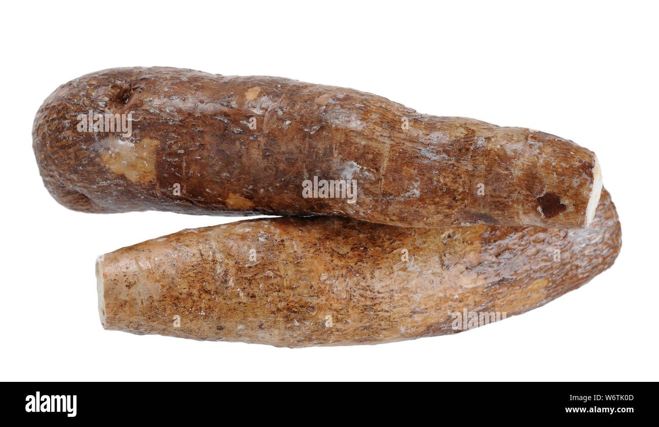 two whole yuca root isolated on white background Stock Photo - Alamy