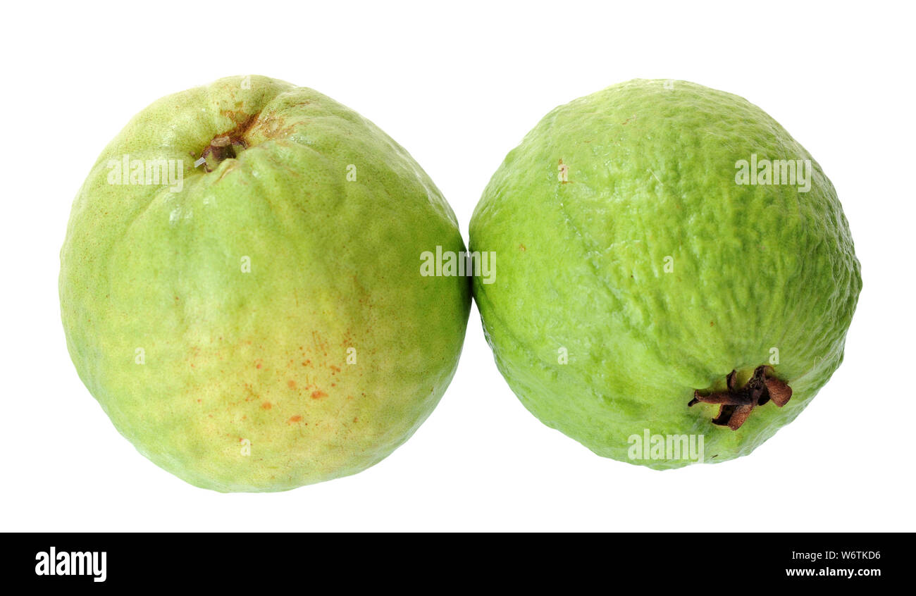 two ripe green guava (delicious tropical fruit) isolated on white Stock ...
