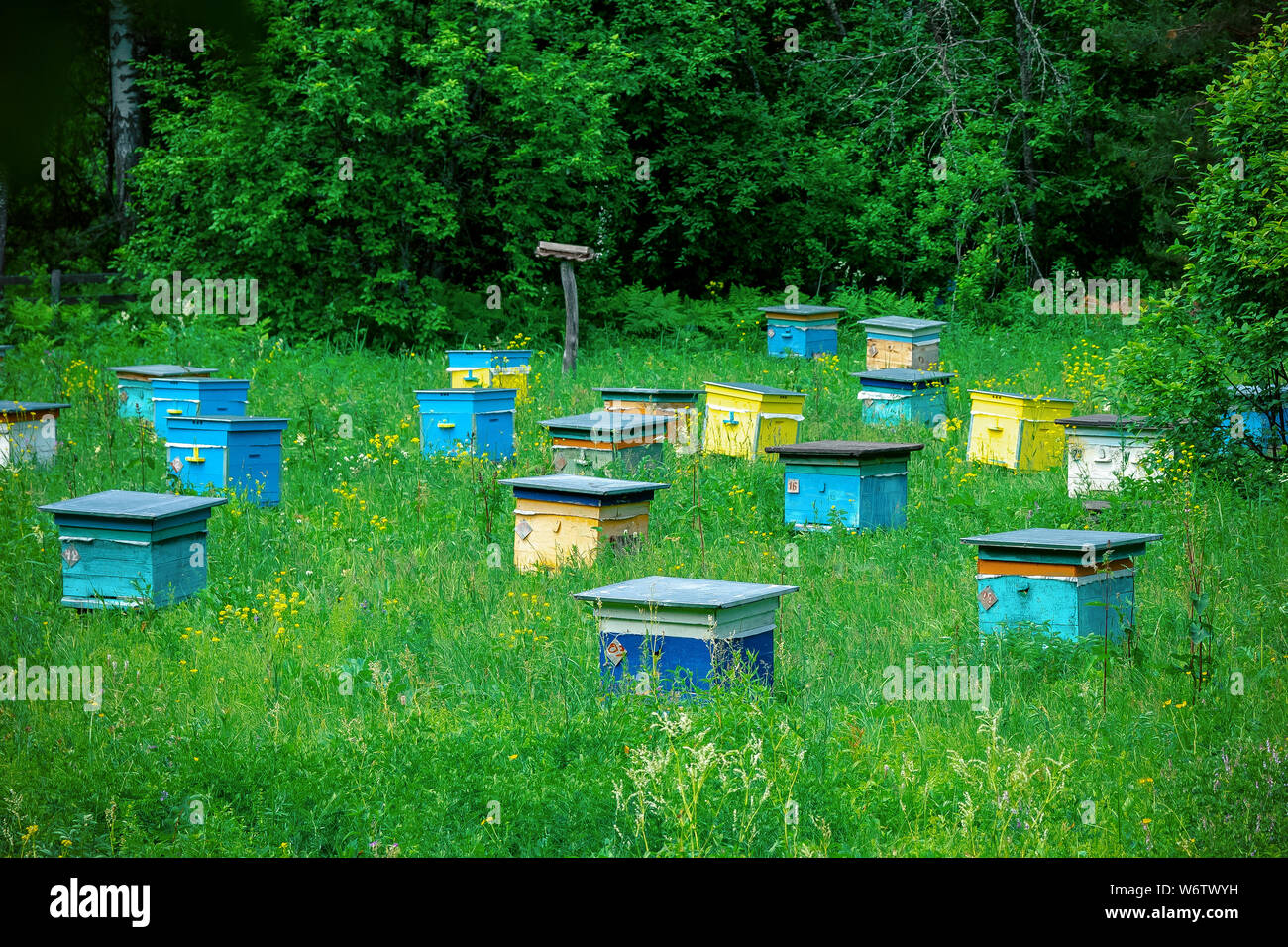 Hives in an apiary in a spring garden. Honey business concept. Shulgan ...