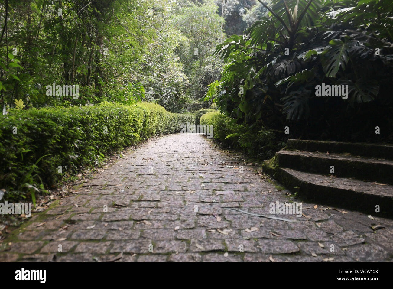 various food dishes, pizza, sphirra, snacks and various Stock Photo - Alamy
