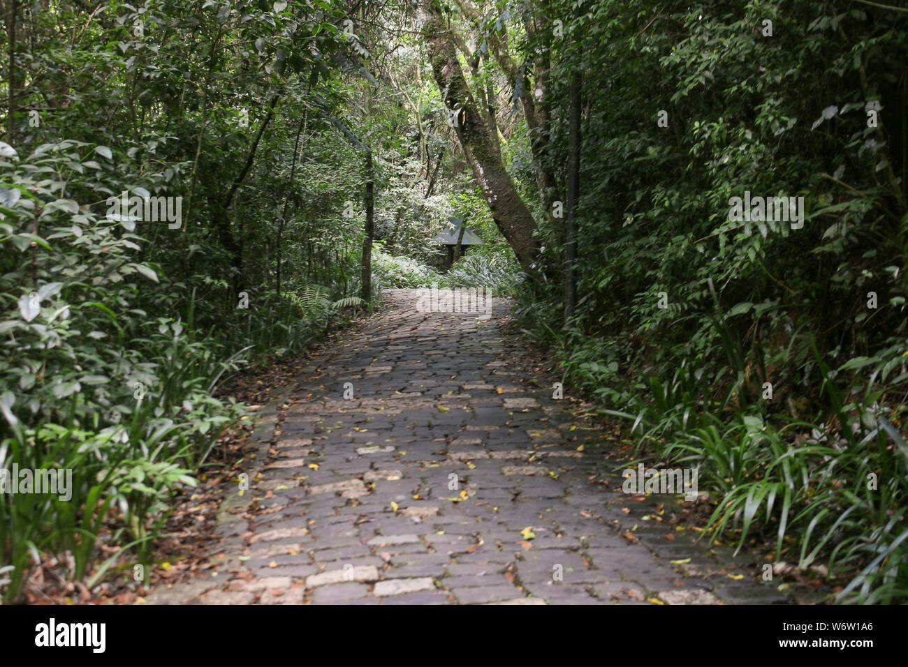 various food dishes, pizza, sphirra, snacks and various Stock Photo - Alamy