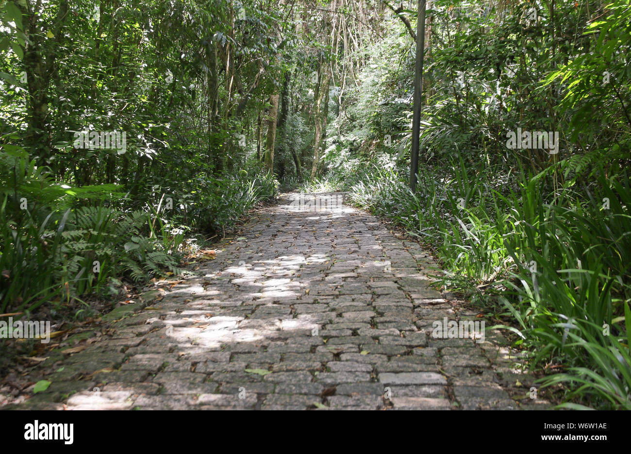 various food dishes, pizza, sphirra, snacks and various Stock Photo - Alamy