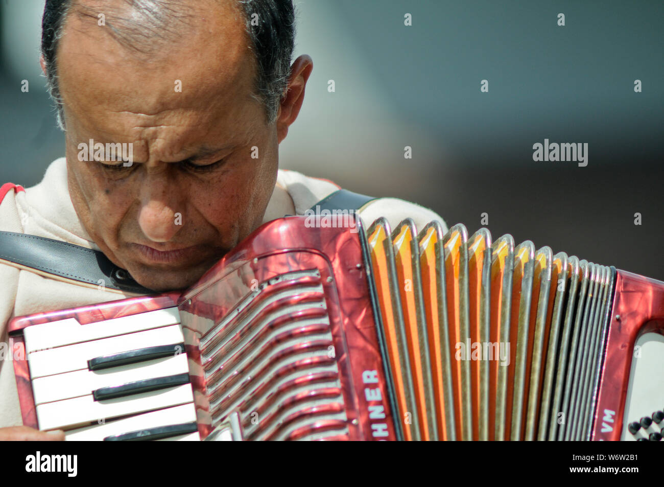 A street performer playing the accordion. Frankfurt, Main riverside ...
