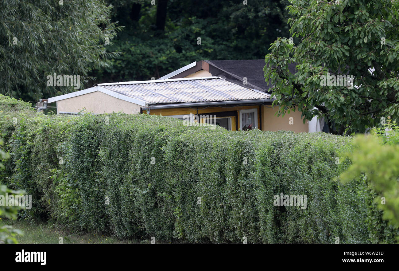 Rostock, Germany. 02nd Aug, 2019. High hedges stand at an allotment ...