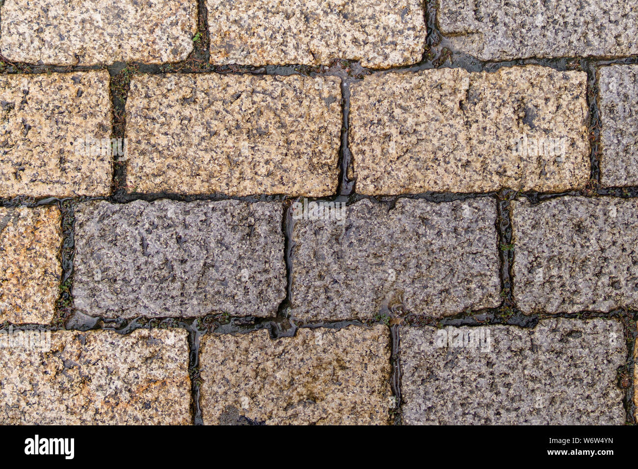 Multicolored Sidewalk Tile Texture. The Texture of Artificial Stone ...