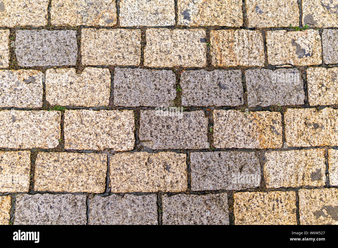 Multicolored Sidewalk Tile Texture. The Texture of Artificial Stone ...