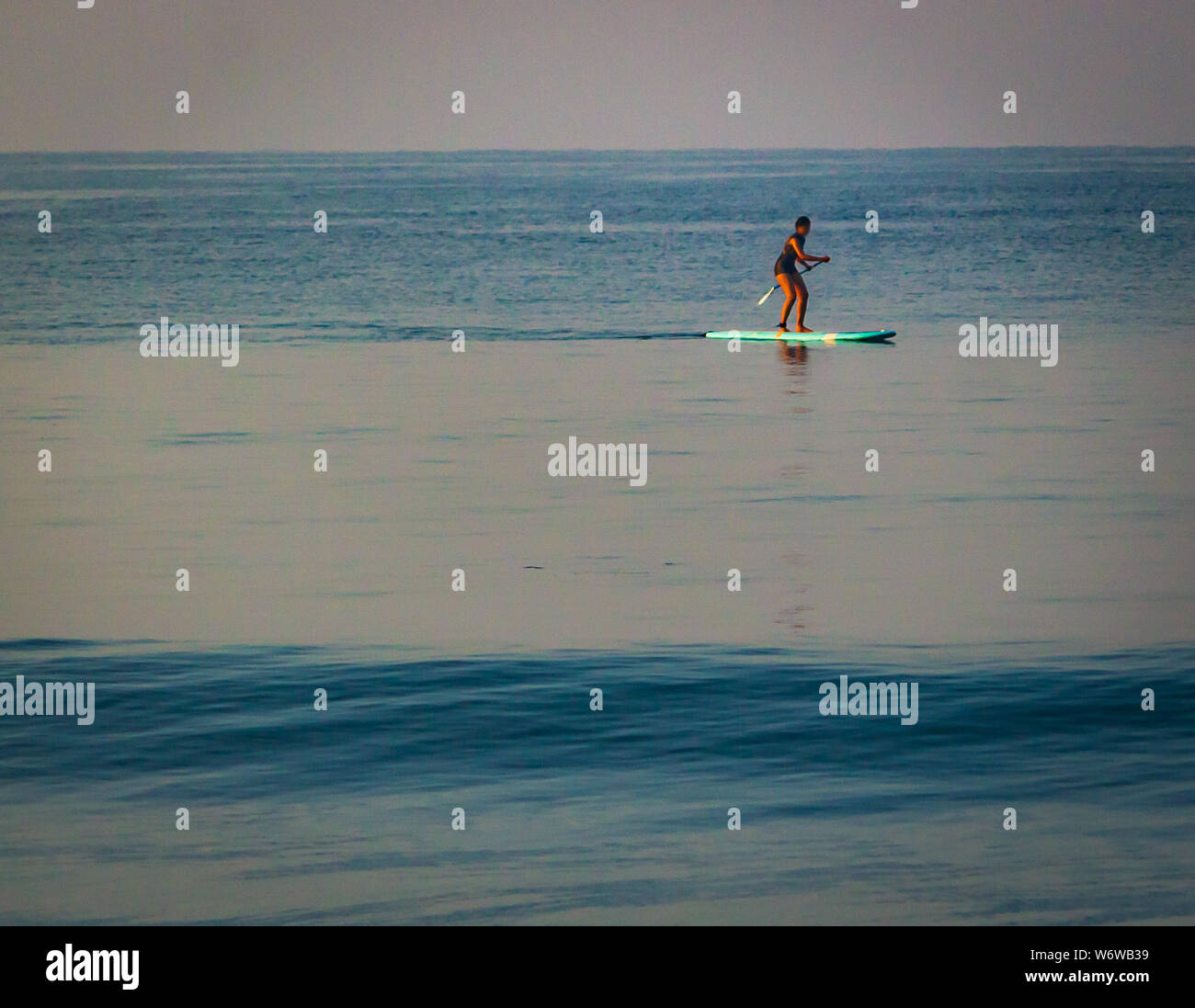 paddle board in the sea in front of a beach.Goa India Stock Photo - Alamy
