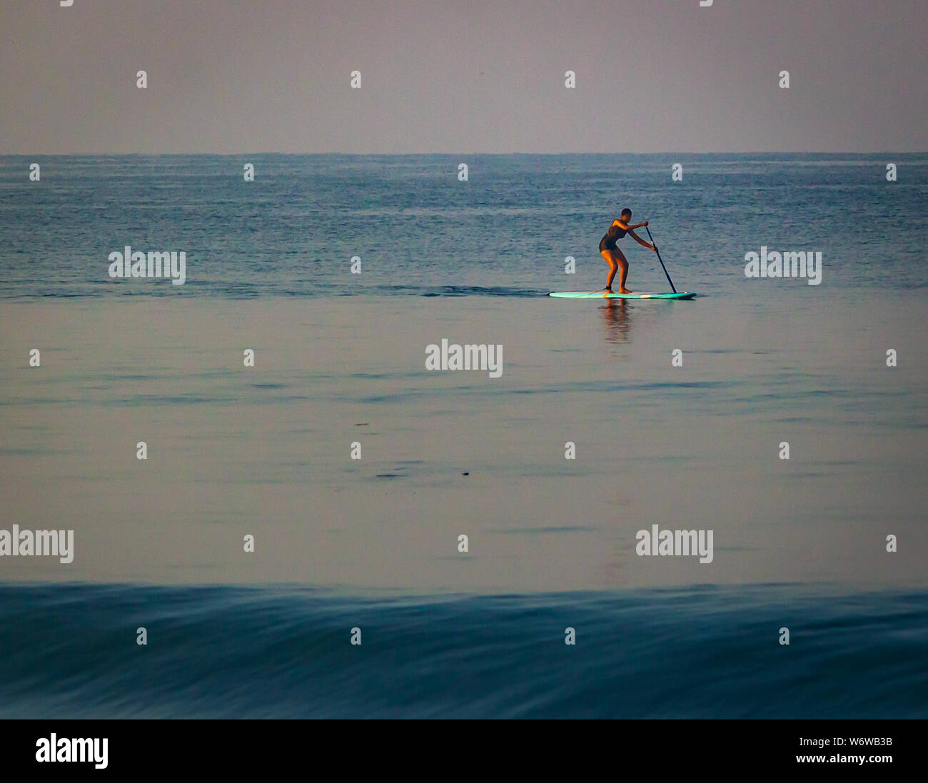 paddle board in the sea in front of a beach.Goa India Stock Photo - Alamy
