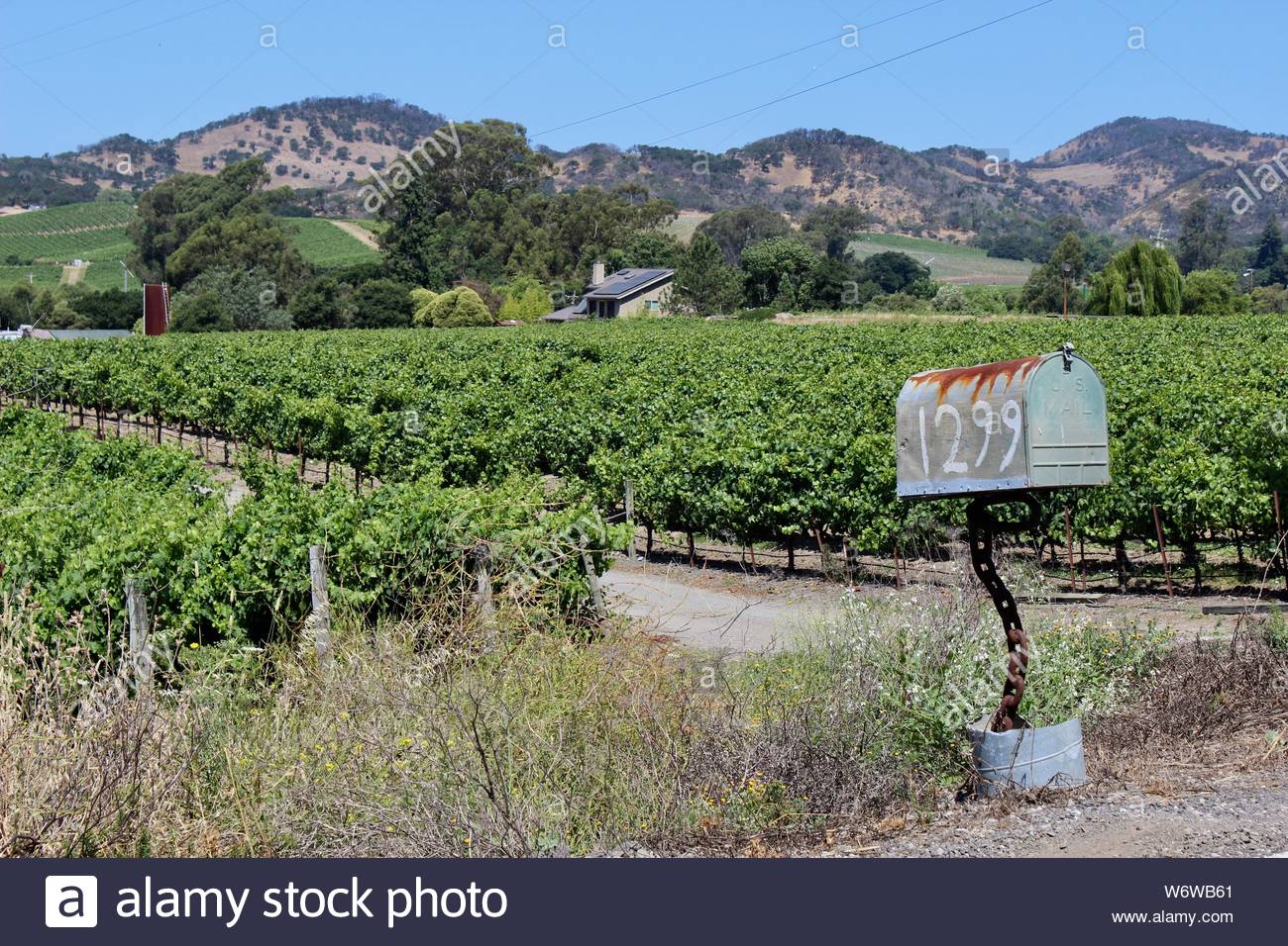Carneros California Stock Photos & Carneros California Stock Images - Alamy