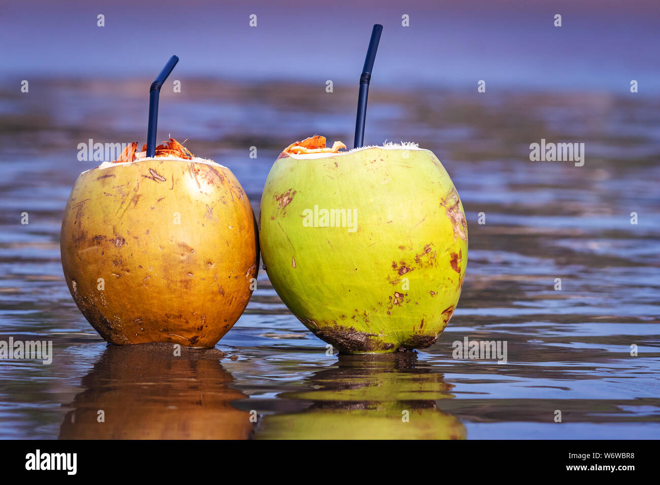 fresh coconut water with straws served on the beach with reflection in ...
