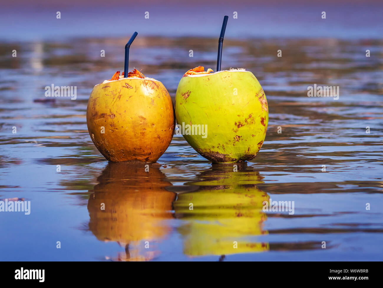 fresh coconut water with straws served on the beach with reflection in ...