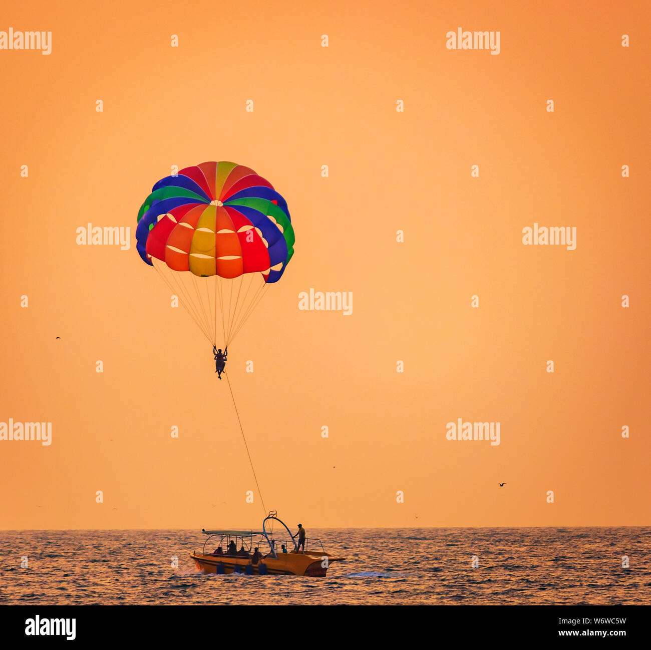 amazing shot at sunset of Parasailing water amusement - flying on a ...
