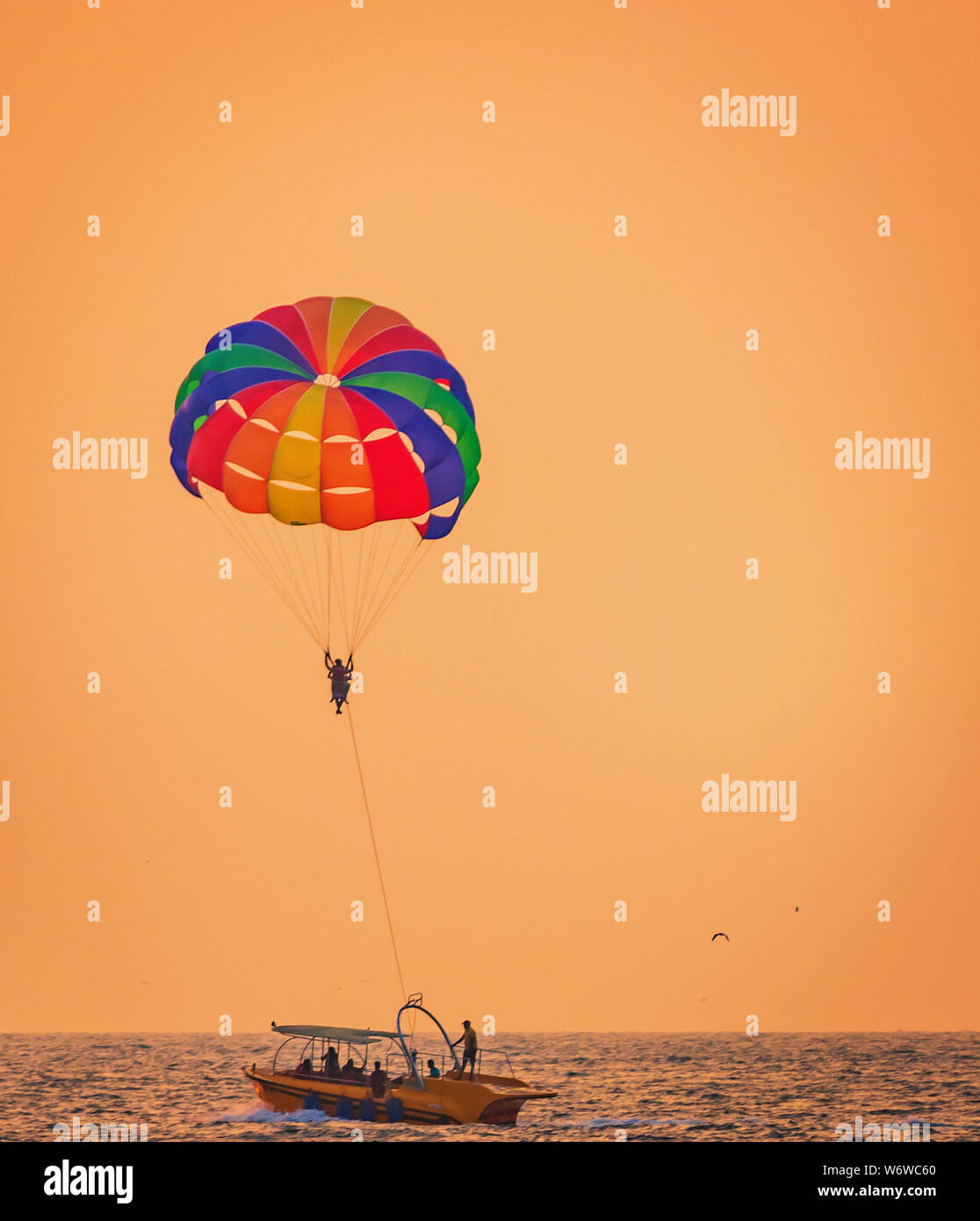 amazing shot at sunset of Parasailing water amusement - flying on a ...