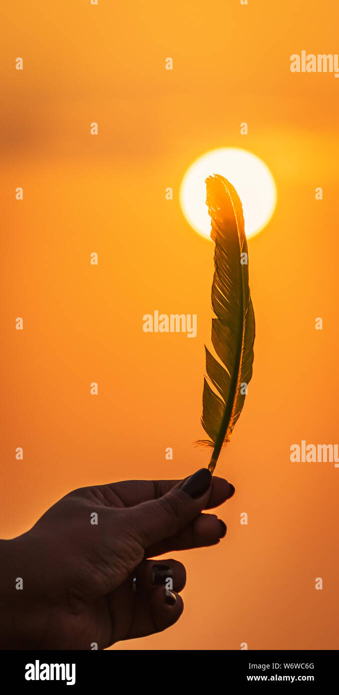 Feather/wing raised up in sky during sunset. sun in background sunset ...