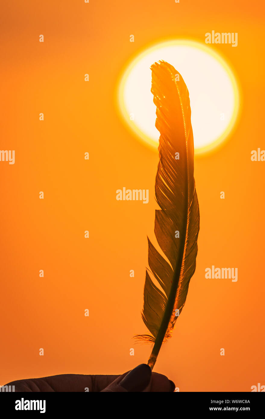 Feather/wing raised up in sky during sunset. sun in background sunset ...