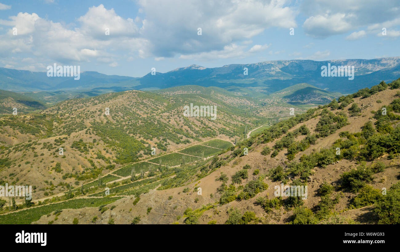 Beauty nature landscape Crimea with tree forest, roads, horizontal ...