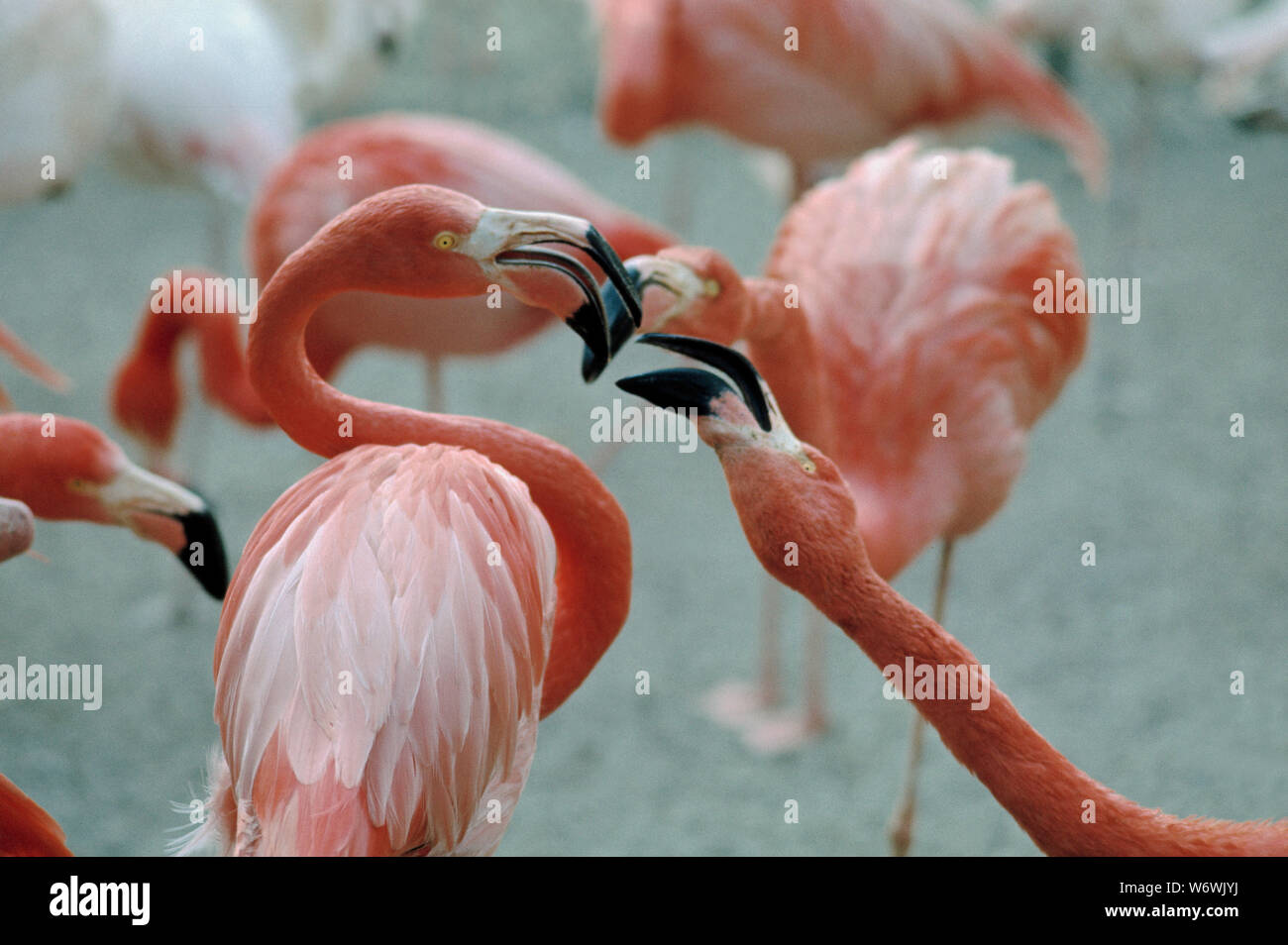 Active distance hi-res stock photography and images - Alamy